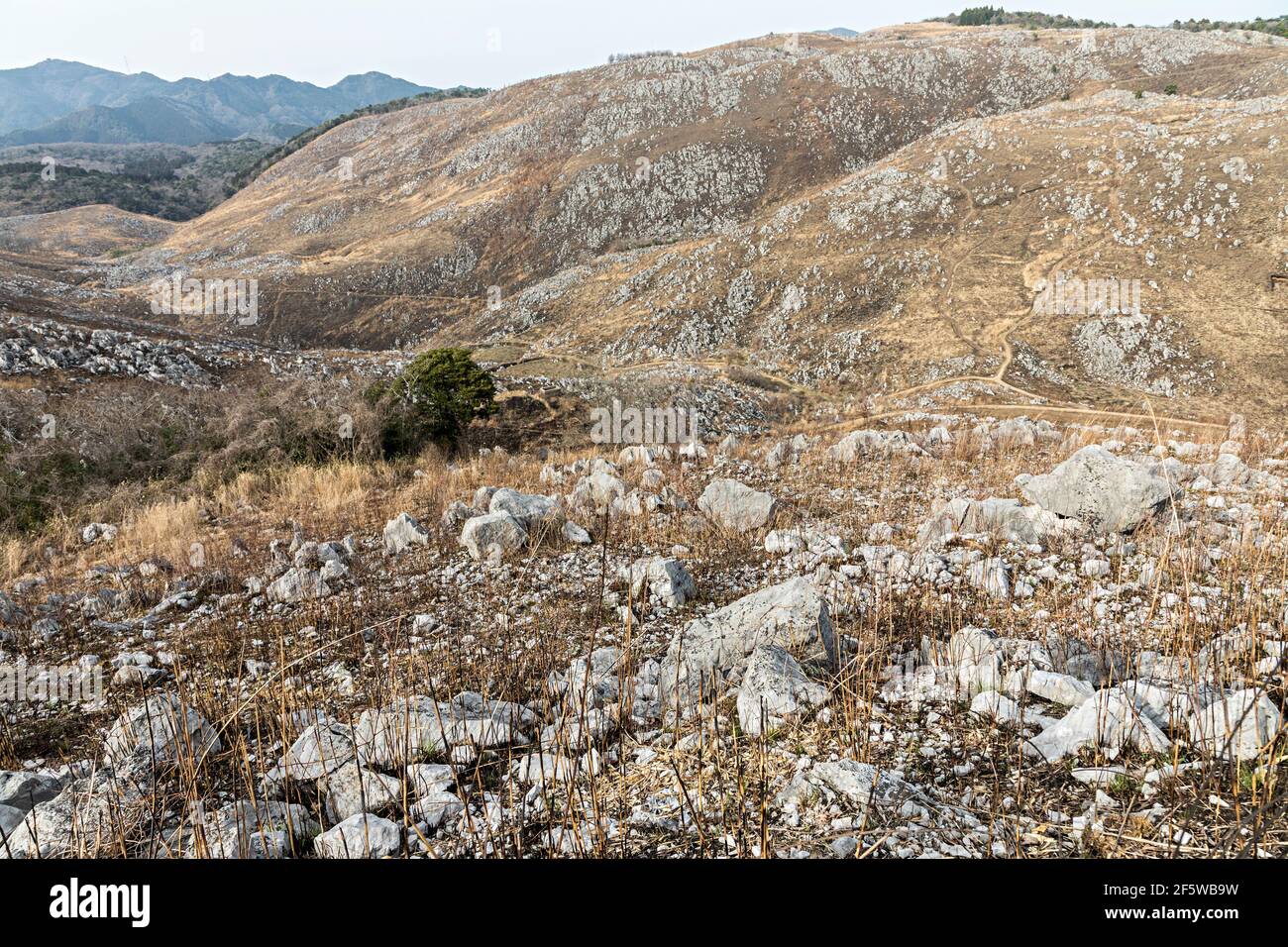 Karst limestone rocks hi-res stock photography and images - Alamy