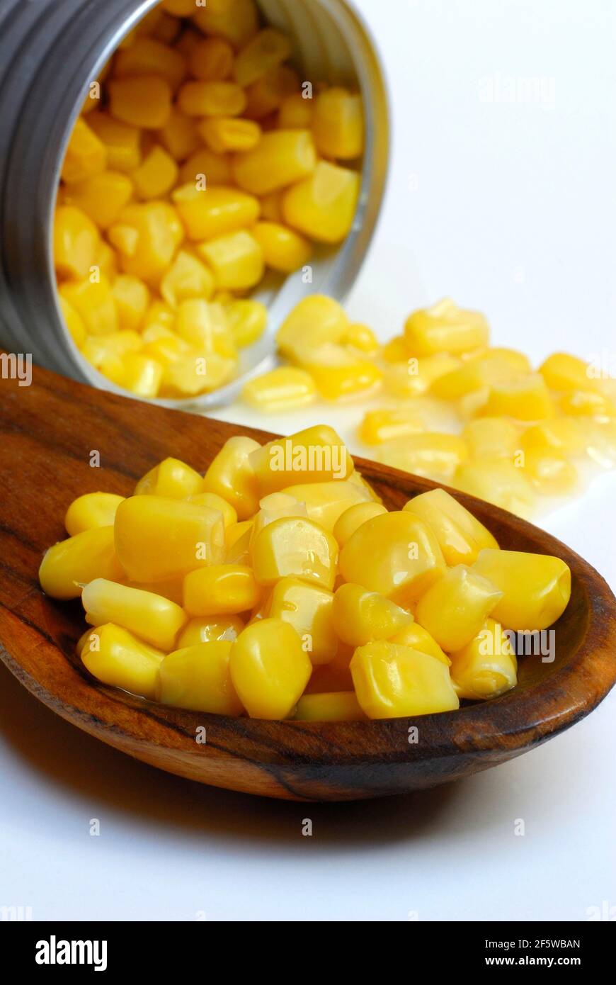 Corn (Zea mays) can of corn Stock Photo - Alamy