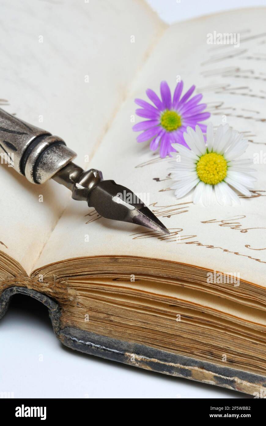 Quill pen ink book hi-res stock photography and images - Alamy