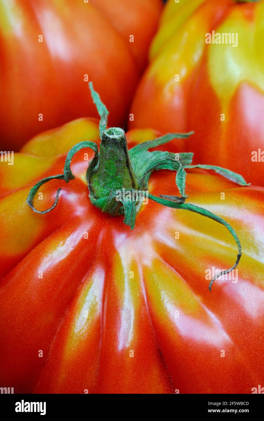 Ox heart tomato hi-res stock photography and images - Alamy