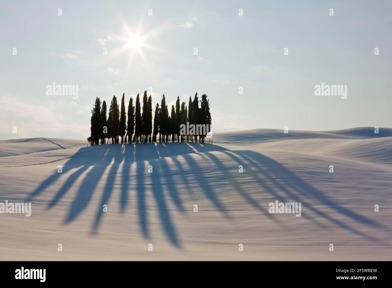Cypress in wintry landscape hi-res stock photography and images - Alamy