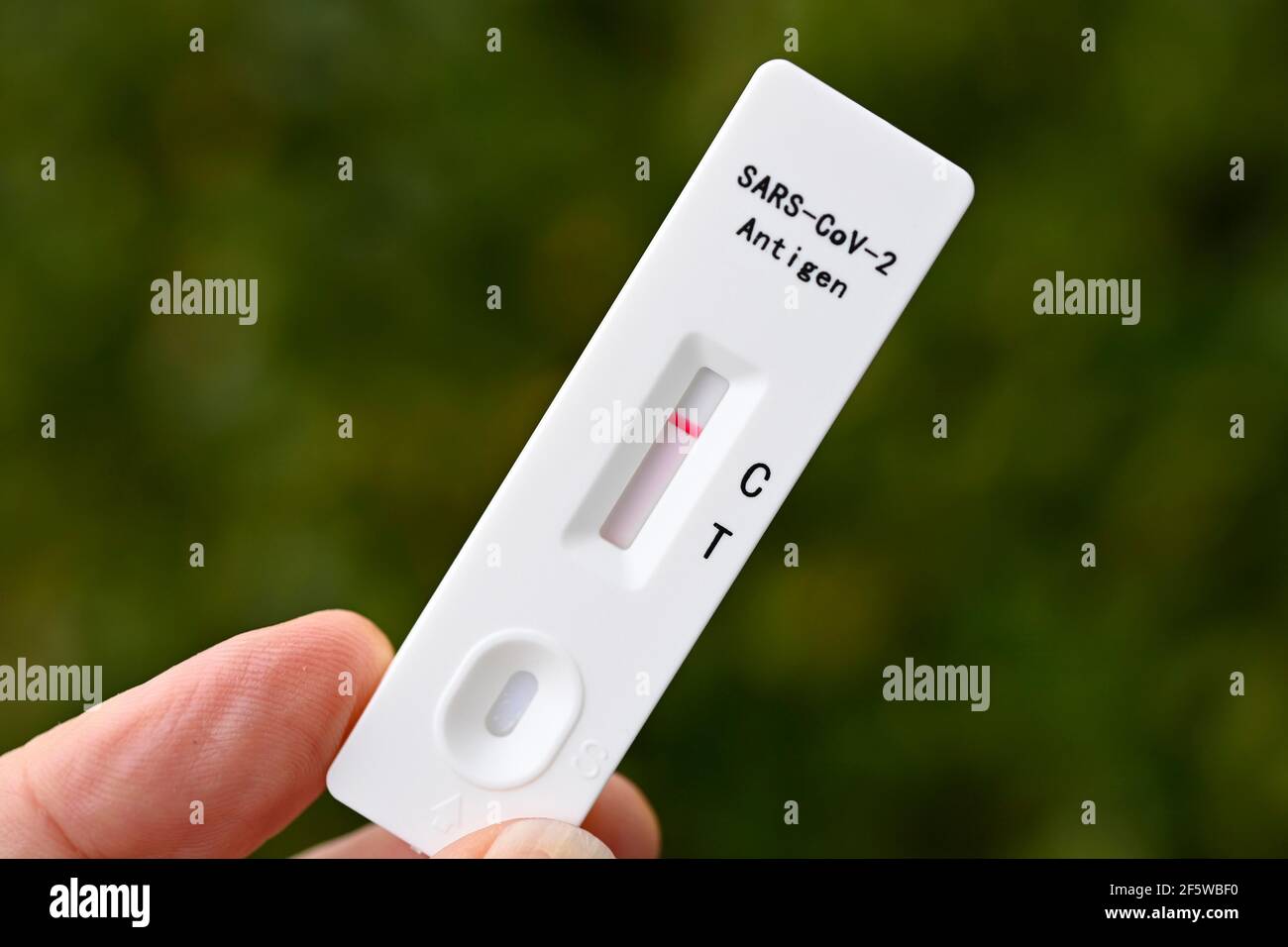Negative Antigen Rapid Test, Test Cassette, Corona Crisis, Germany ...