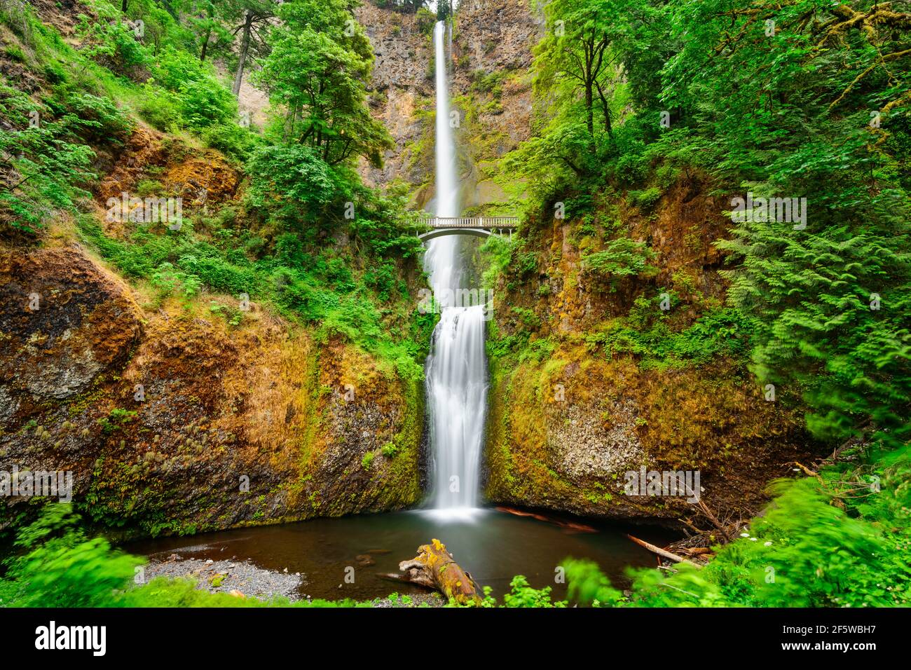 Multnomah Falls Location