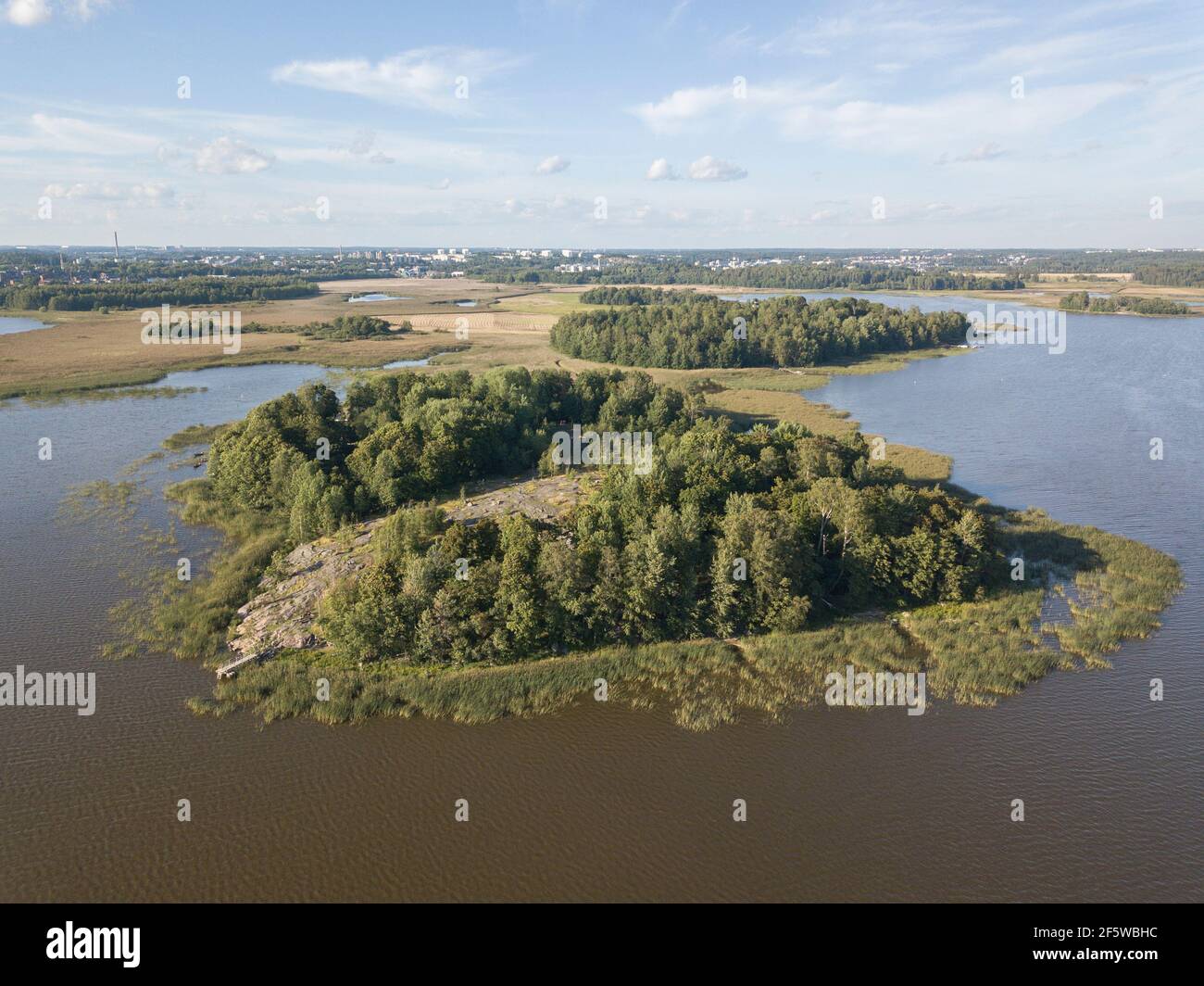 Finnish forest environment hi-res stock photography and images - Alamy