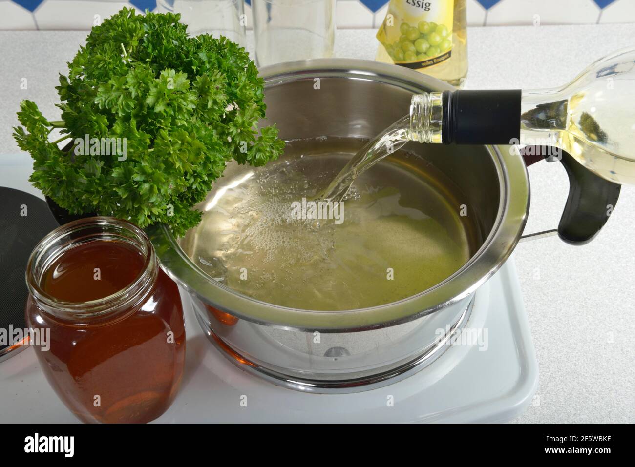 Ginger Thyme Ginger (thymus hybrid Stock Photo - Alamy