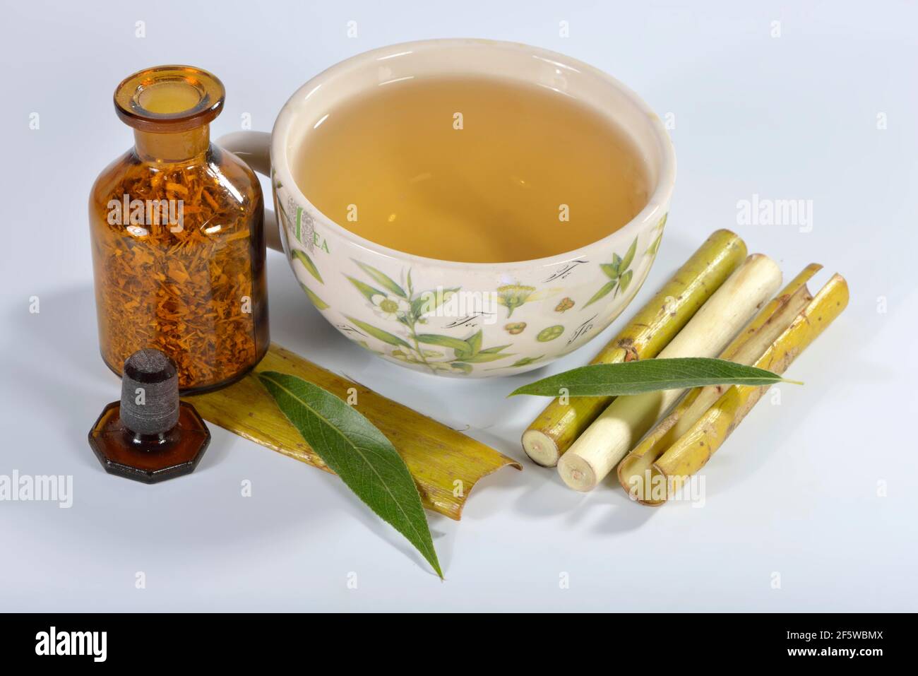 Willow bark tea, silver willow (Salix alba Stock Photo - Alamy