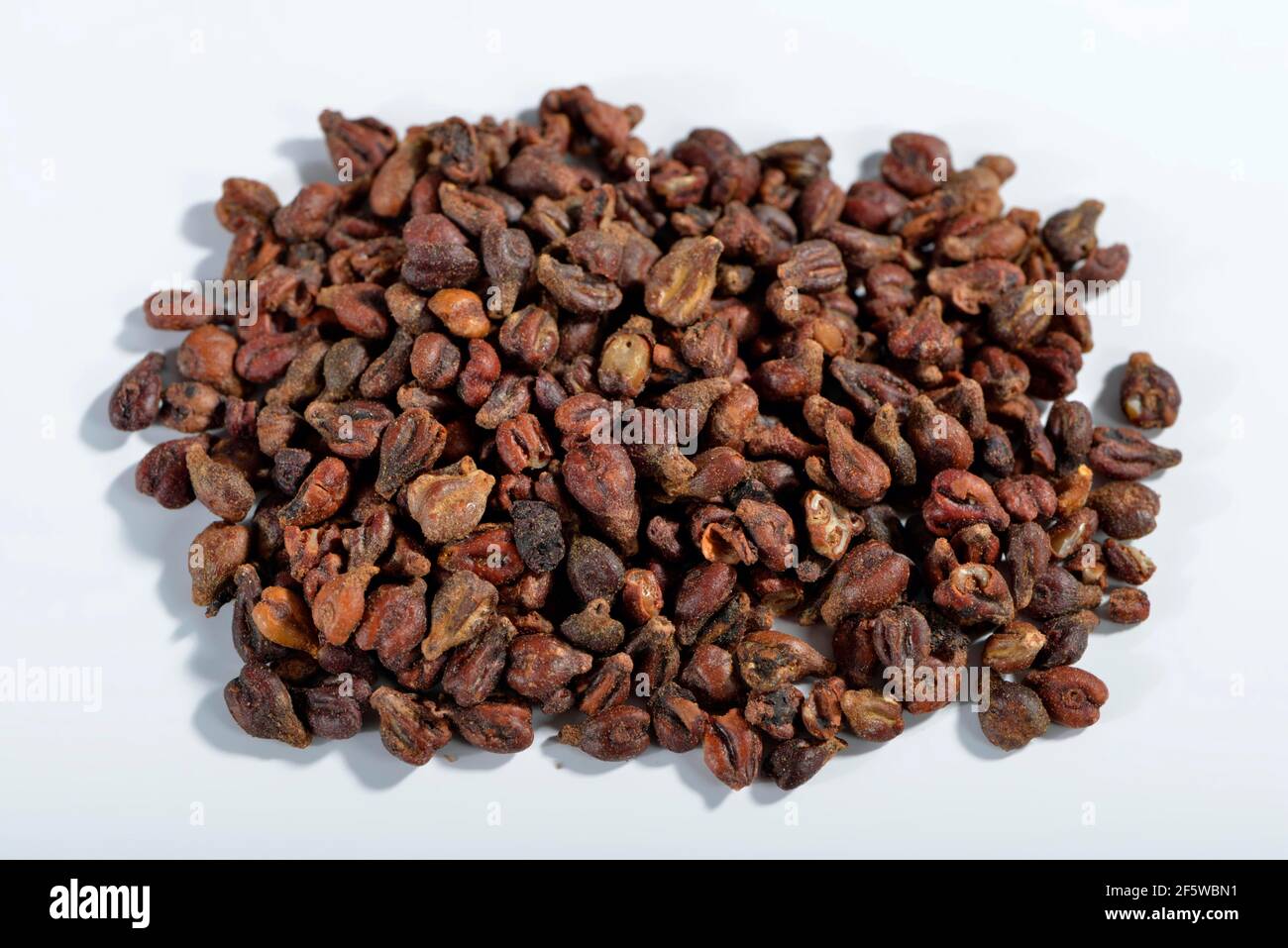 Grape seeds (Vitis vinifera subsp. vinifera Stock Photo - Alamy Grape seeds (Vitis vinifera subsp. vinifera Stock Photo - Alamy