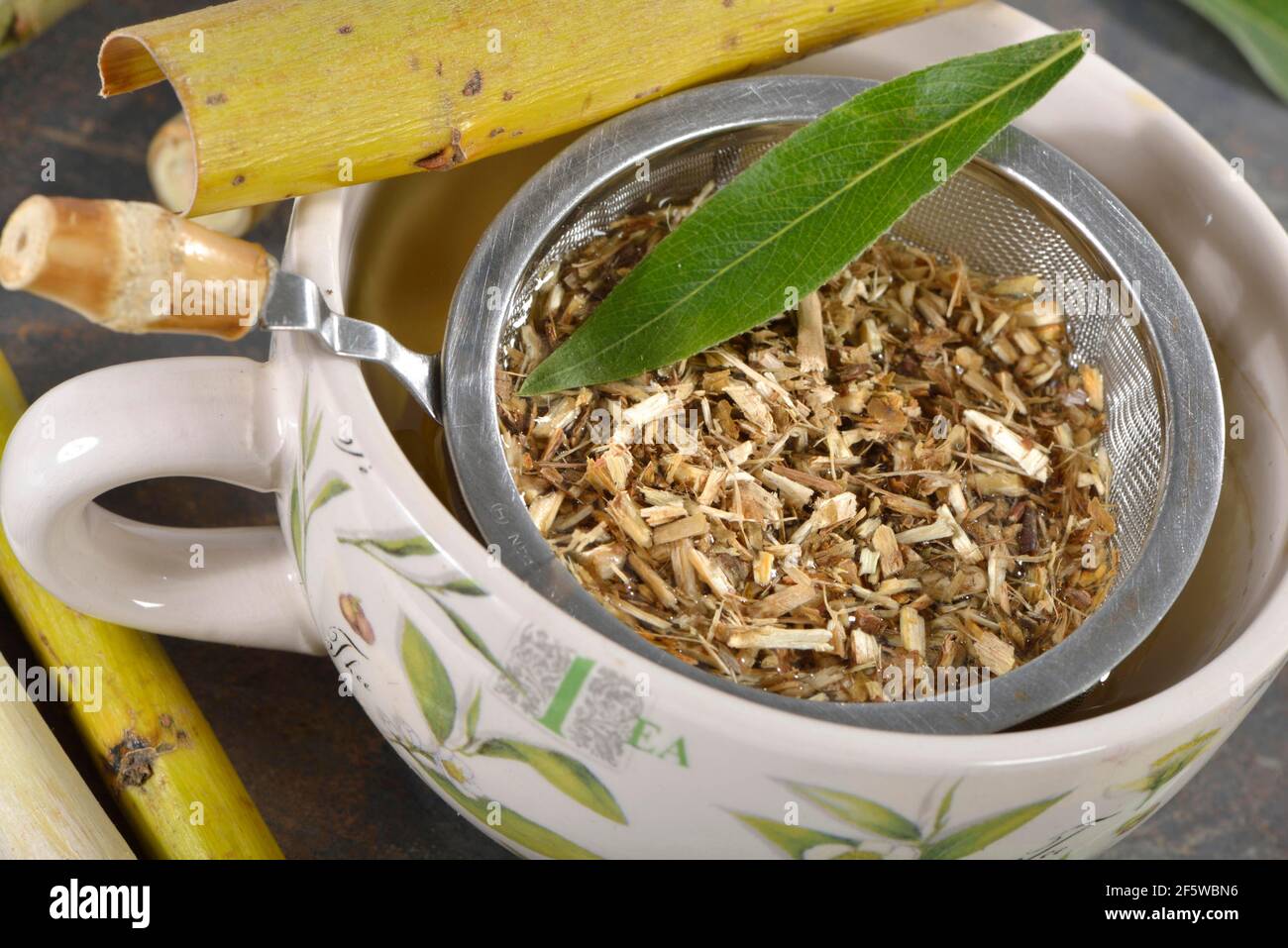 Willow bark tea, silver willow (Salix alba Stock Photo - Alamy