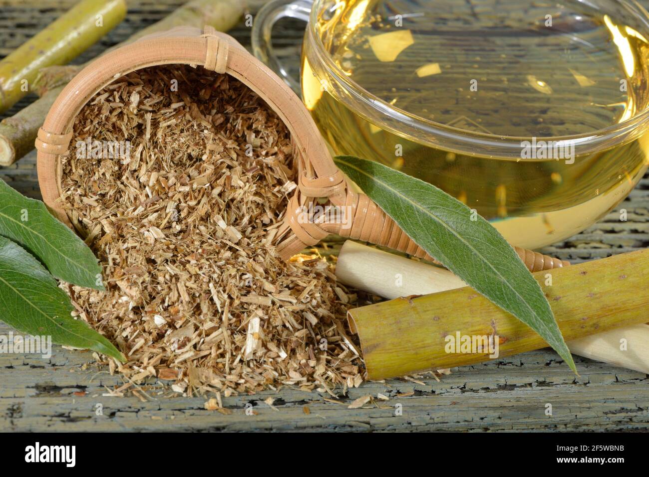 Willow bark tea, silver willow (Salix alba Stock Photo - Alamy