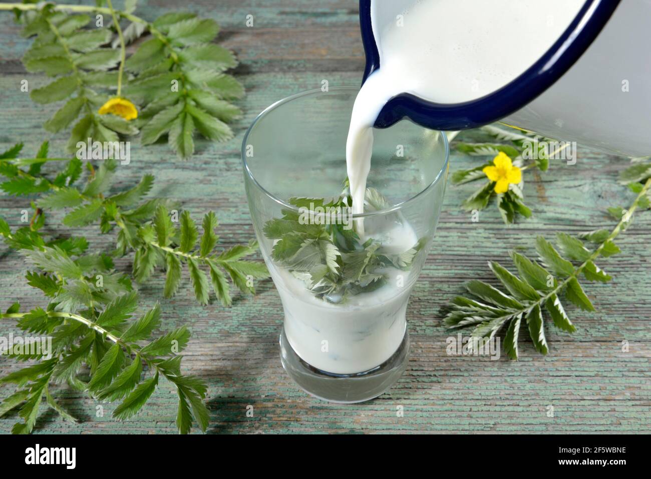 Food and beverage production hi-res stock photography and images - Alamy