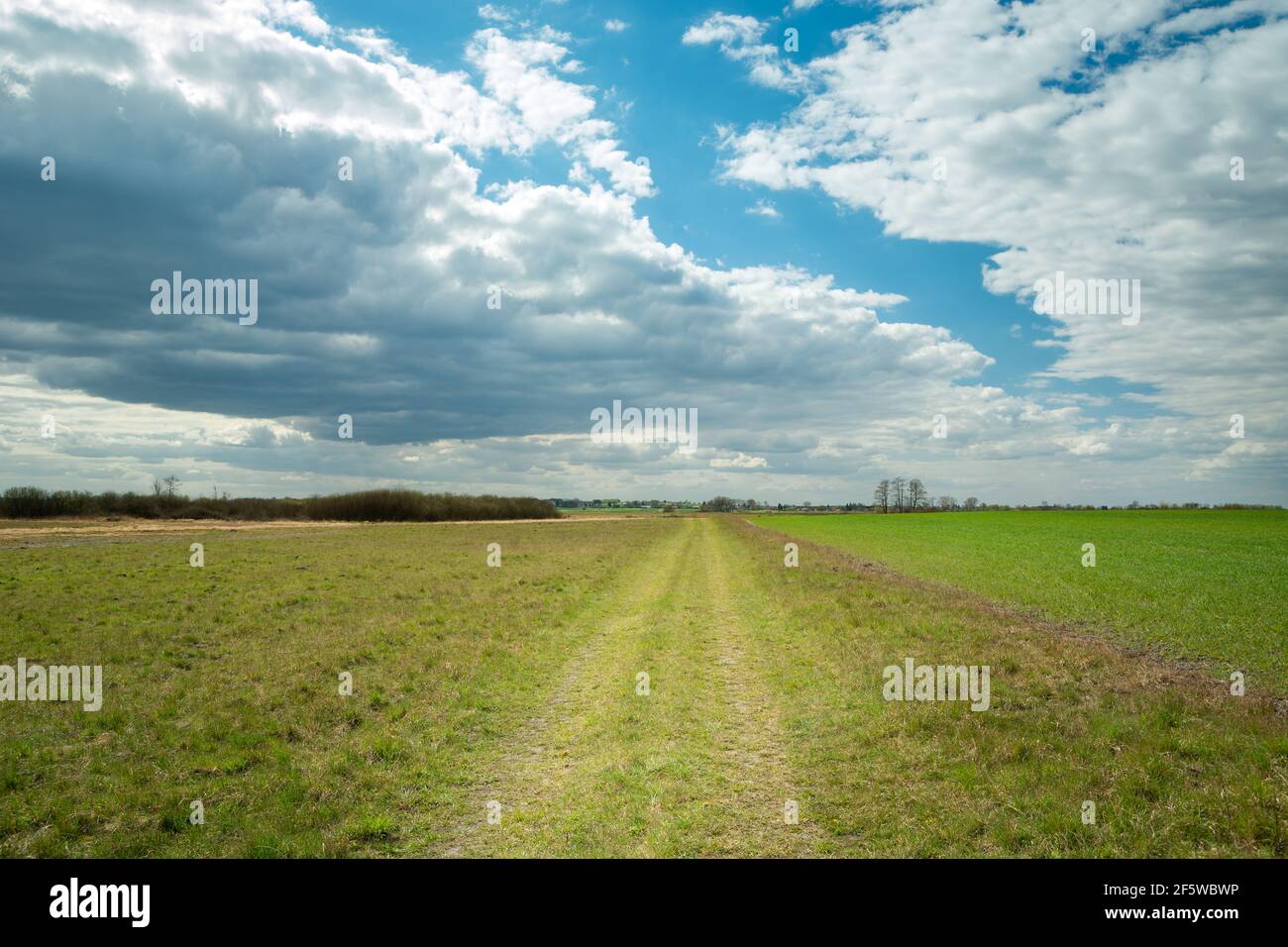 Walk along the road through the meadows Stock Photo - Alamy