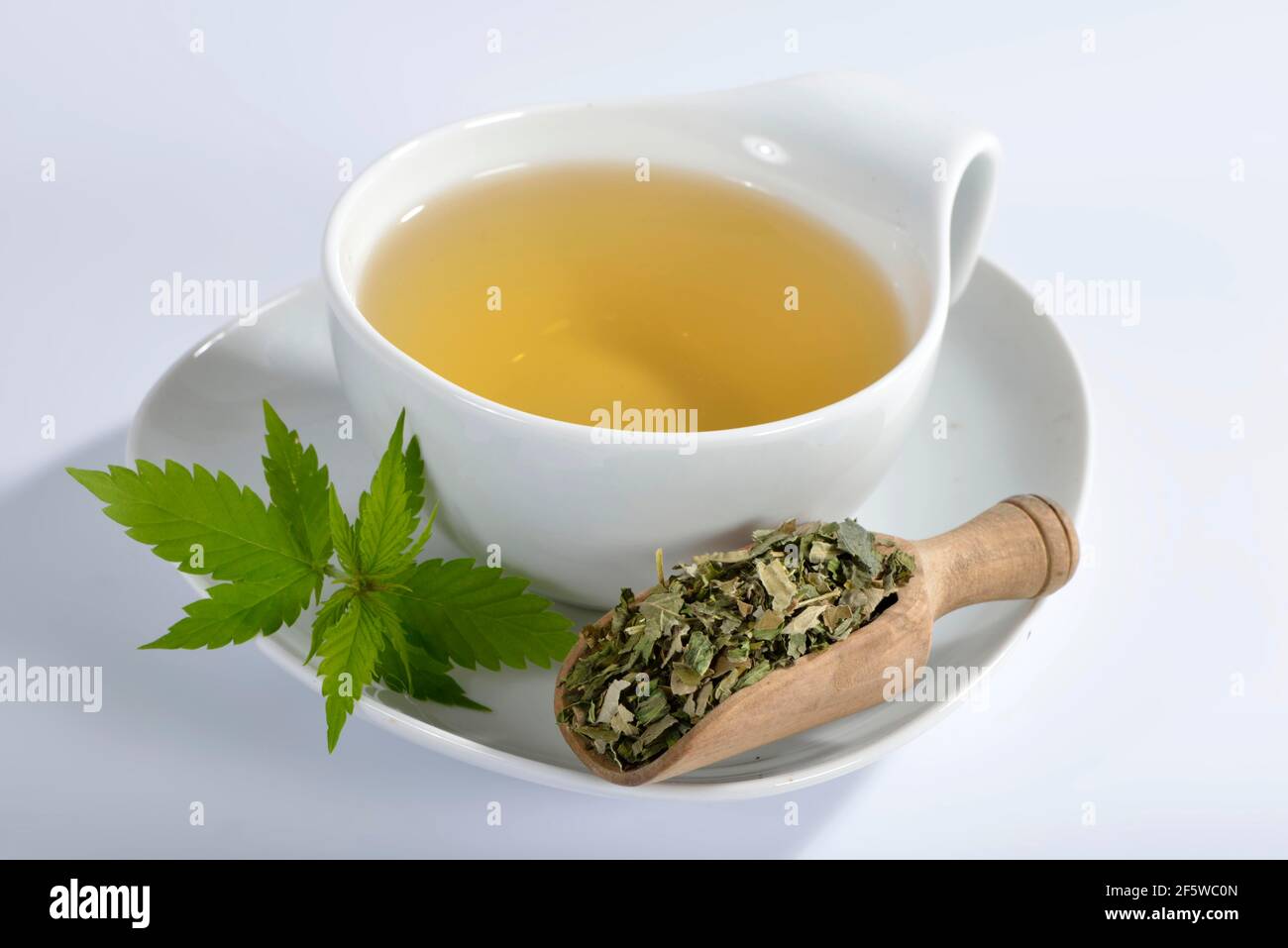 Hemp tea hi-res stock photography and images - Alamy