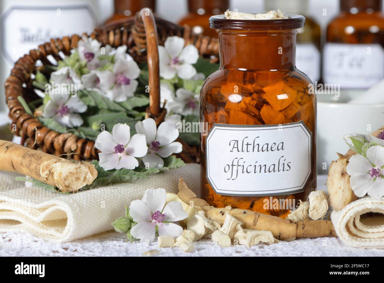 Althaea officinalis (Althaea officinalis officinalis) Althaea ...