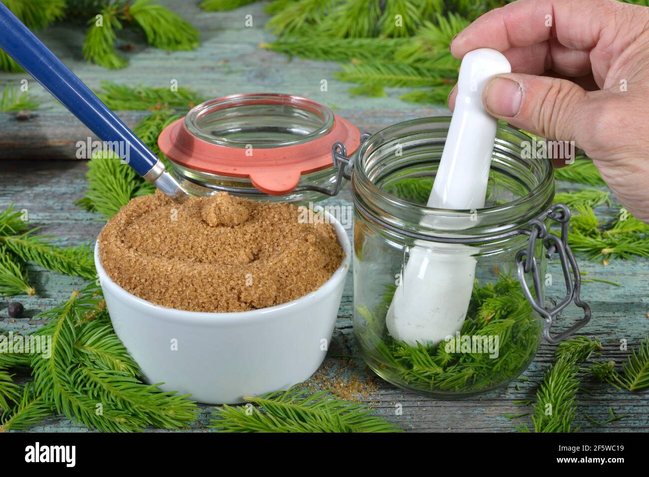 Production spruce tip honey, Bauner sugar, spruce branches Stock Photo ...