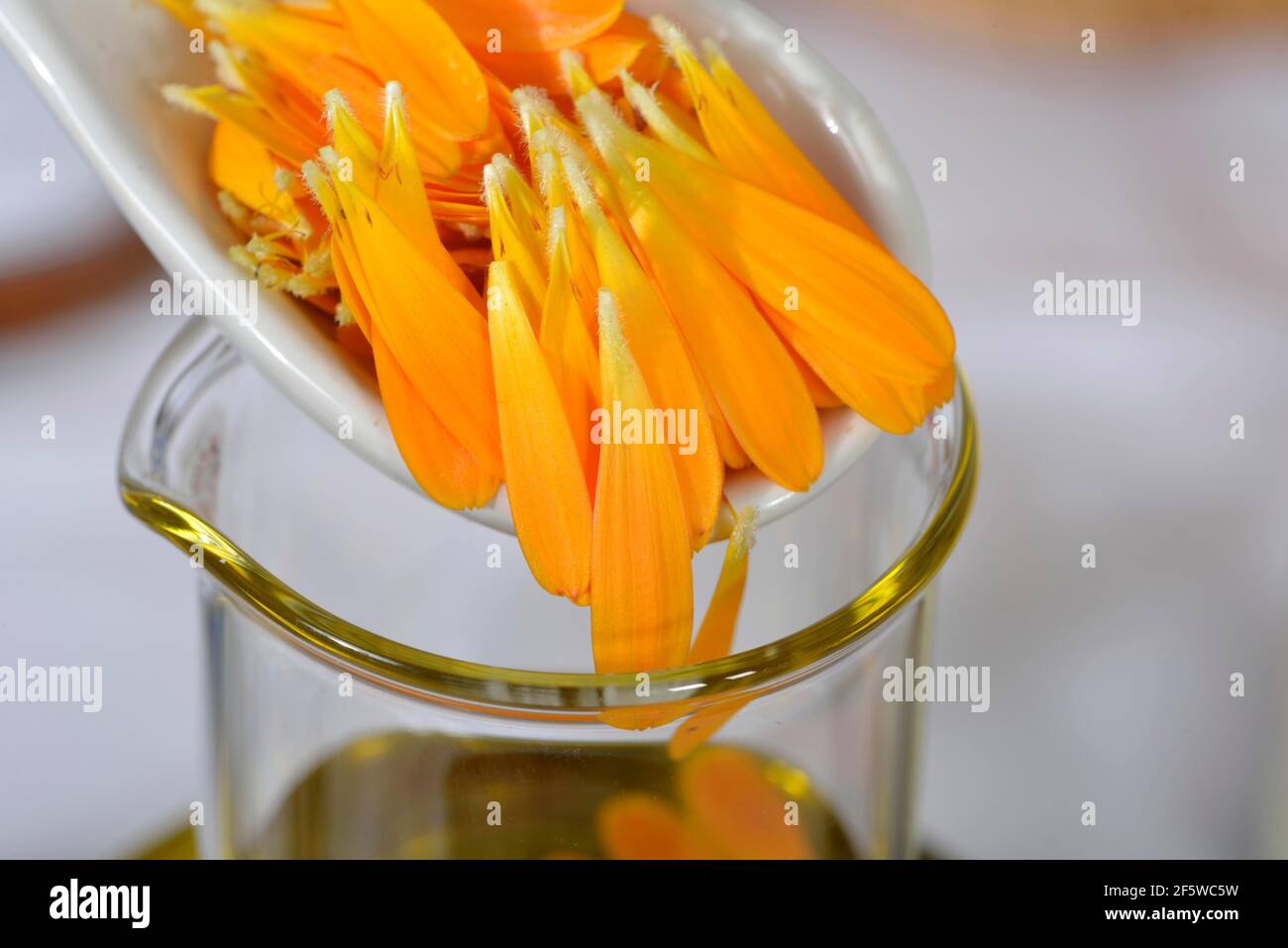 Production Calendula ointment (Calendula officinalis), Calendula ...