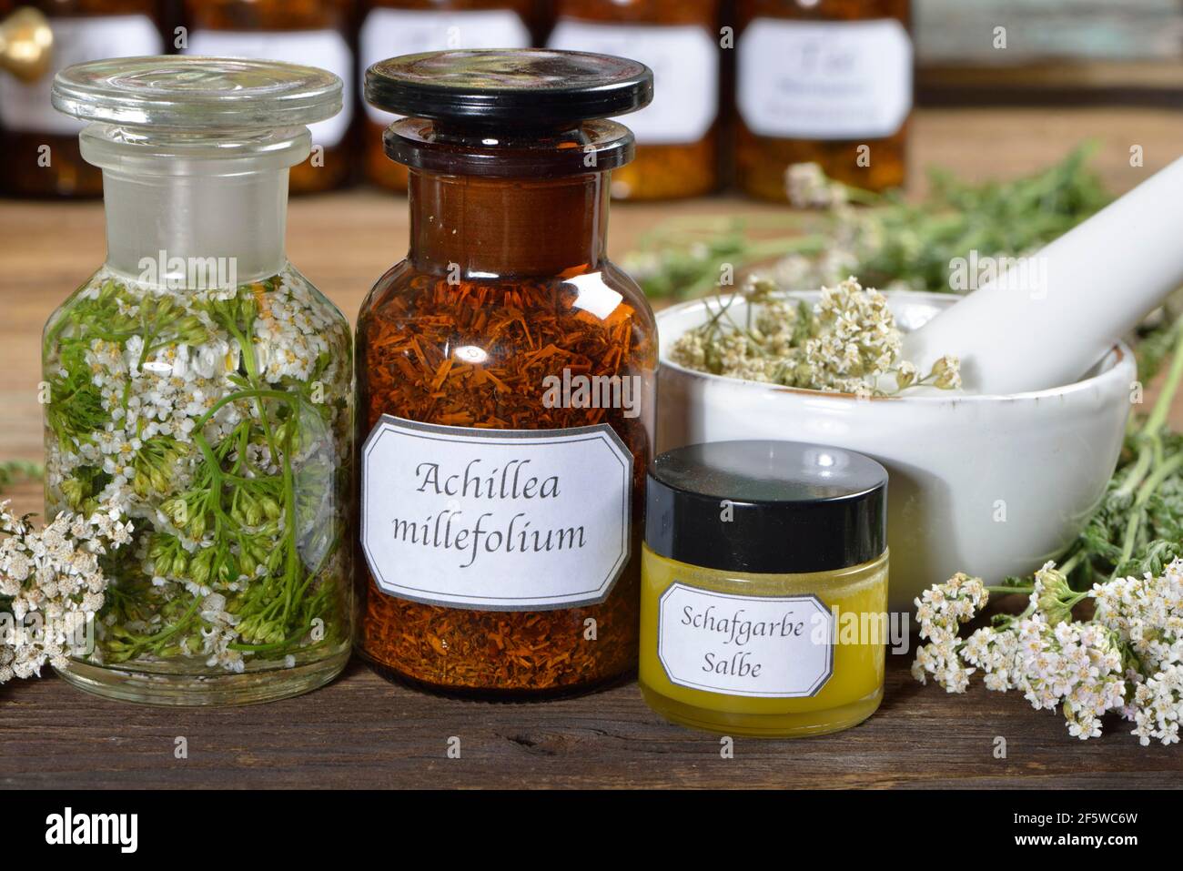 Yarrow ointment (Achillea millefolium), Yarrow ointment Stock Photo - Alamy