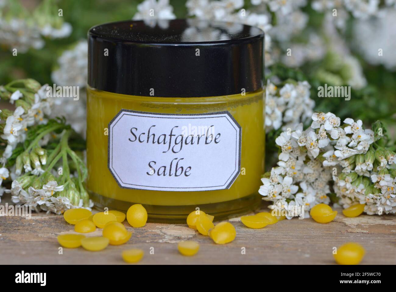 Production Yarrow ointment (Achillea millefolium), Yarrow ointment ...