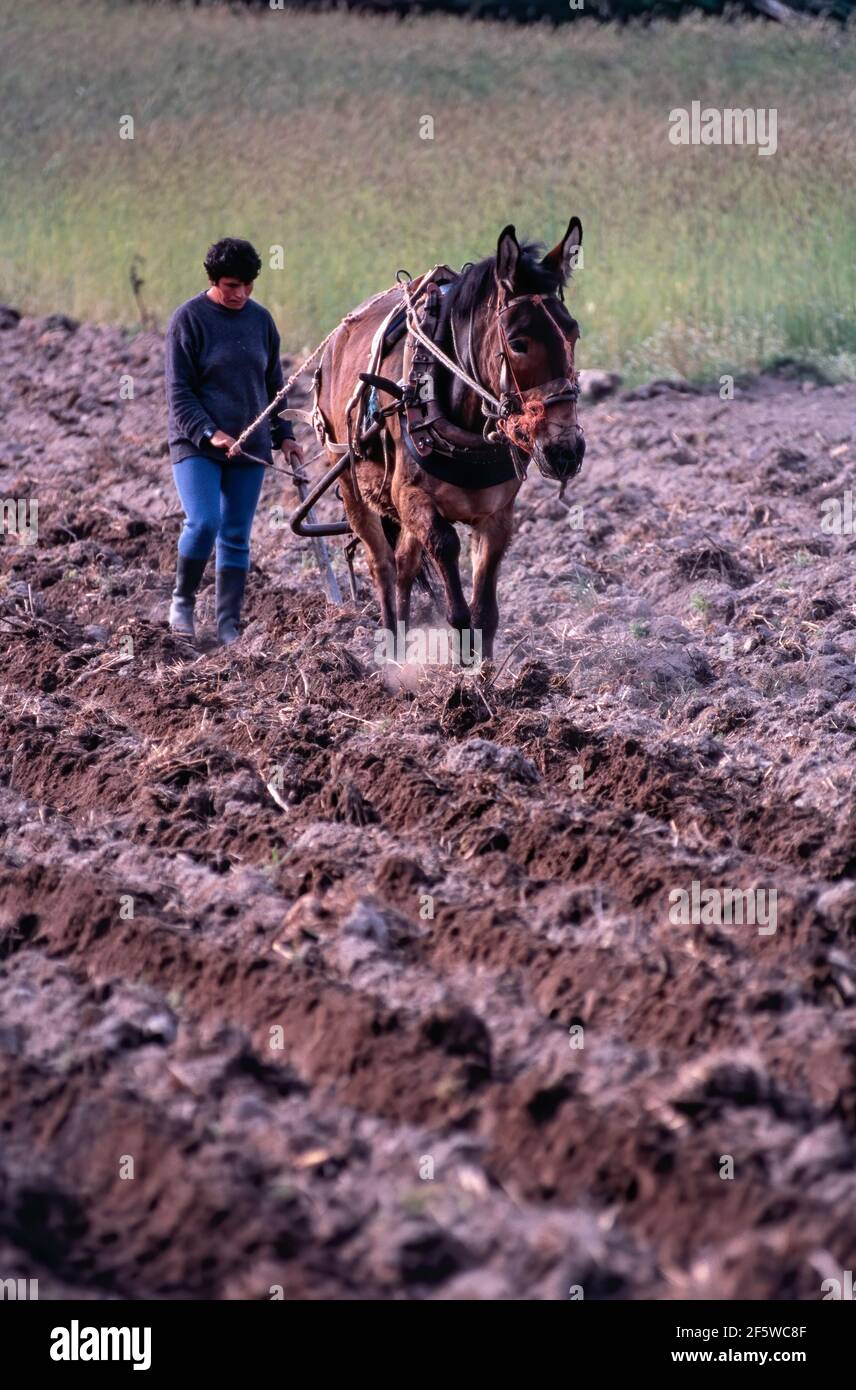Woman Plowing High Resolution Stock Photography and Images - Alamy