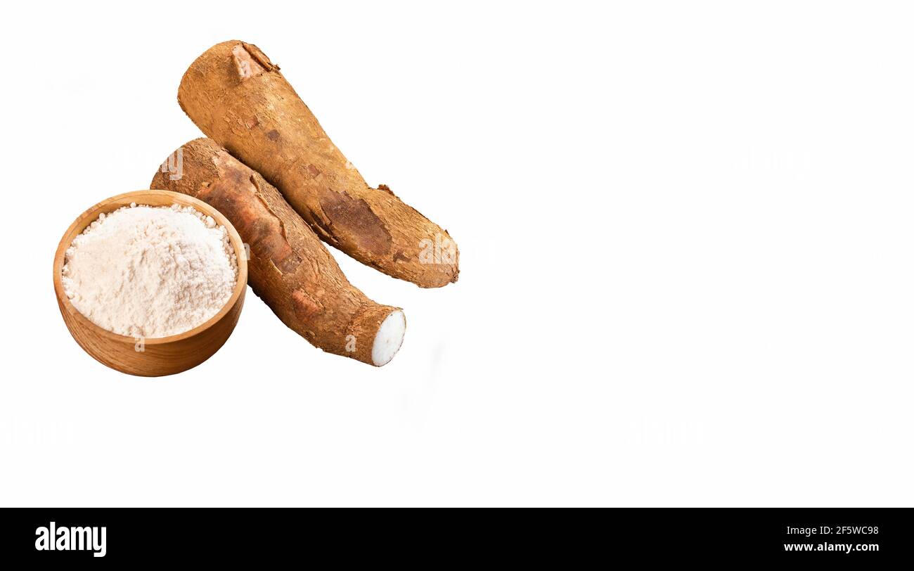 Manihot esculenta - Raw yucca starch. White background Stock Photo - Alamy