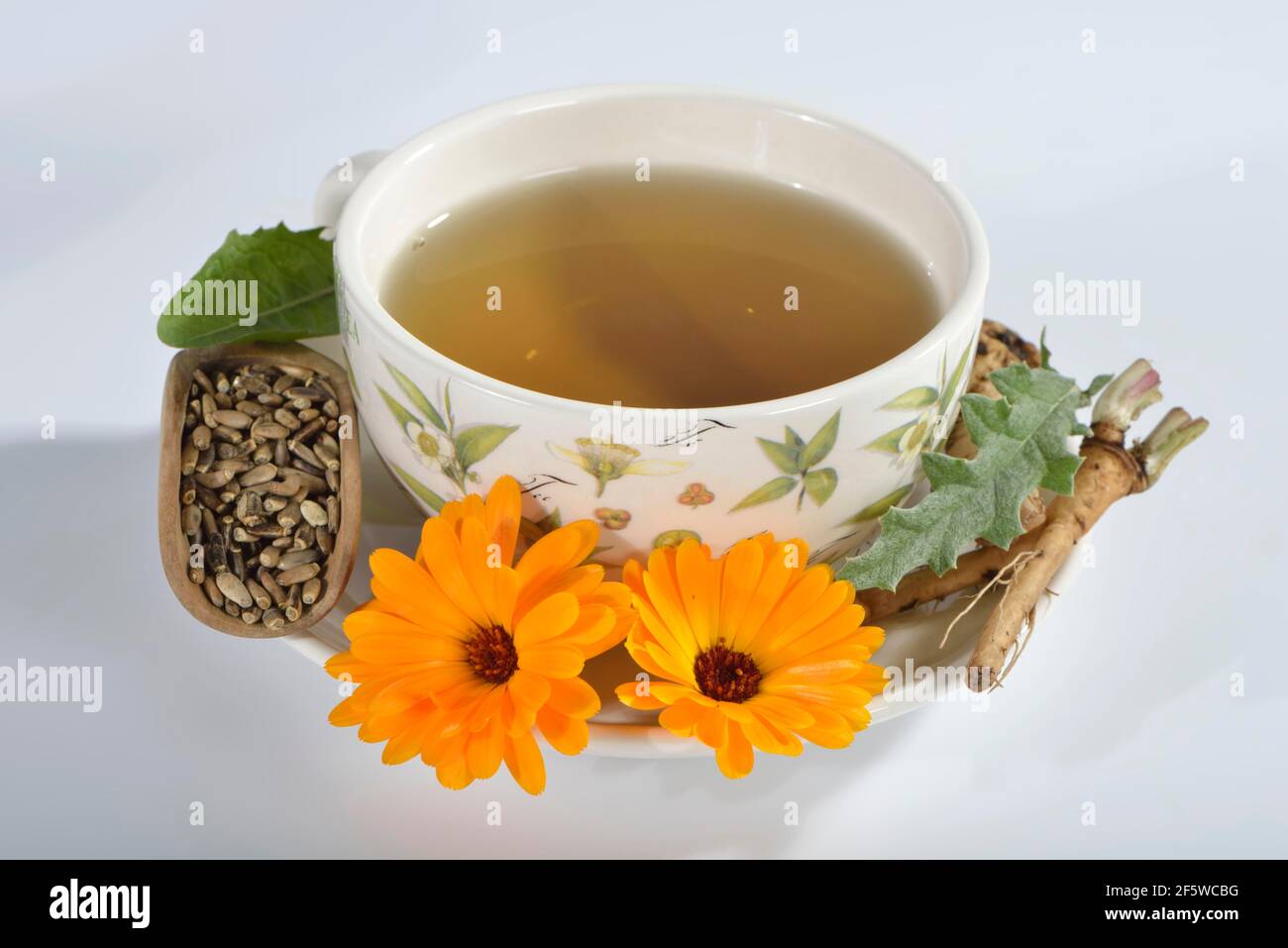 Cholesterol regulating tea, dandelion leaves (Taraxacum officinale ...