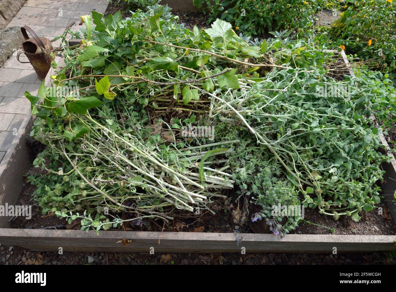 Composting in the frame bed, compost, compost box Stock Photo - Alamy