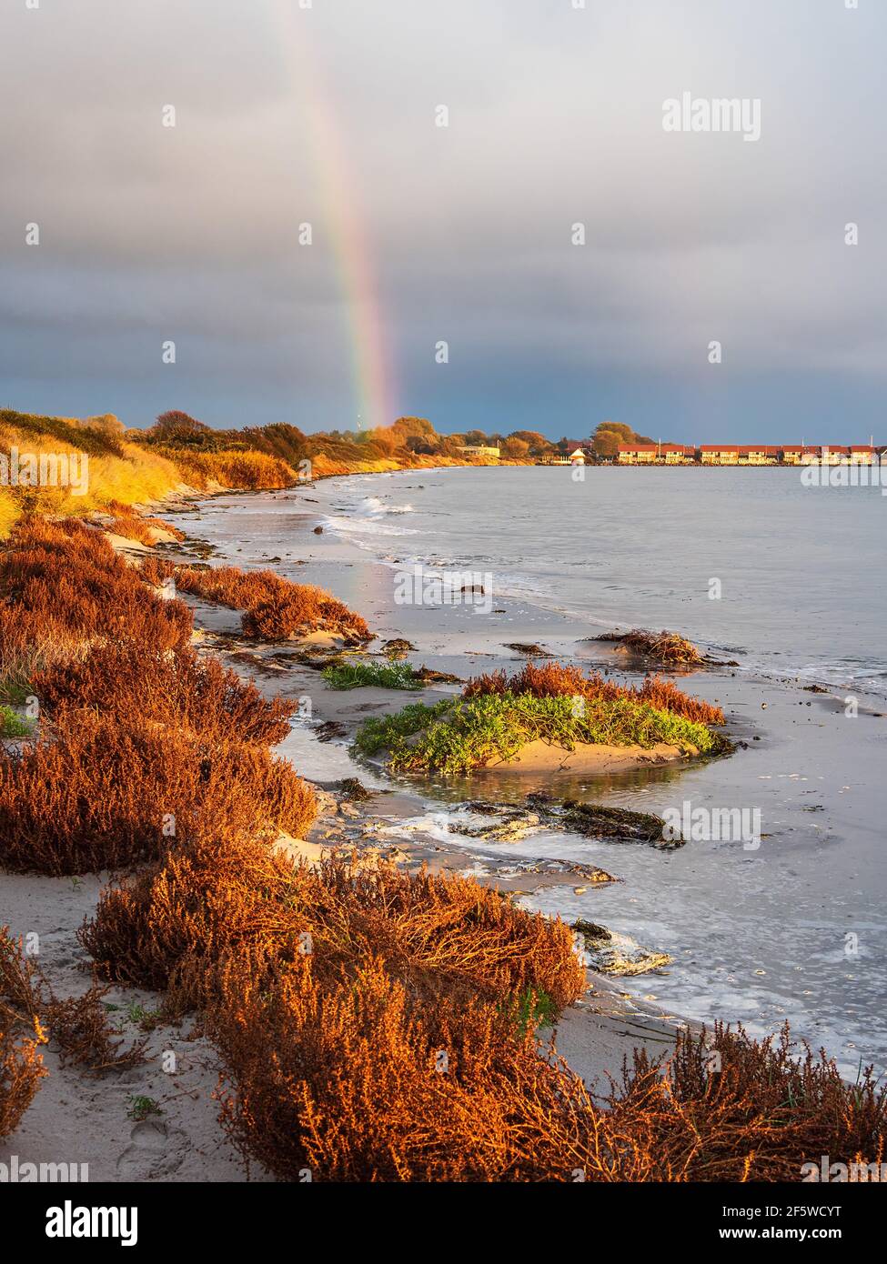 Baltic Sea coast on the island Moen in Denmark Stock Photo - Alamy