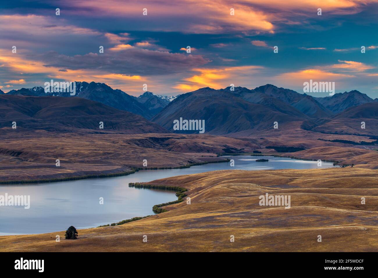 Lake Alexandrina, Lake Tekapo, Canterbury, New Zealand Stock Photo - Alamy