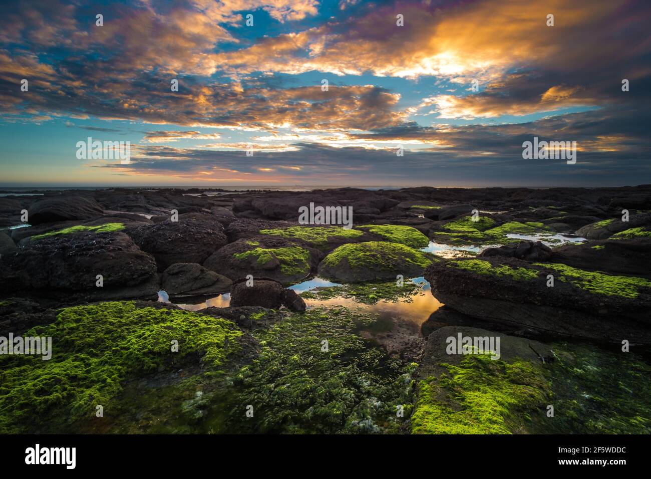 Waipapa Point, Waipapa Lighthouse Road, Catlins, New Zealand Stock ...