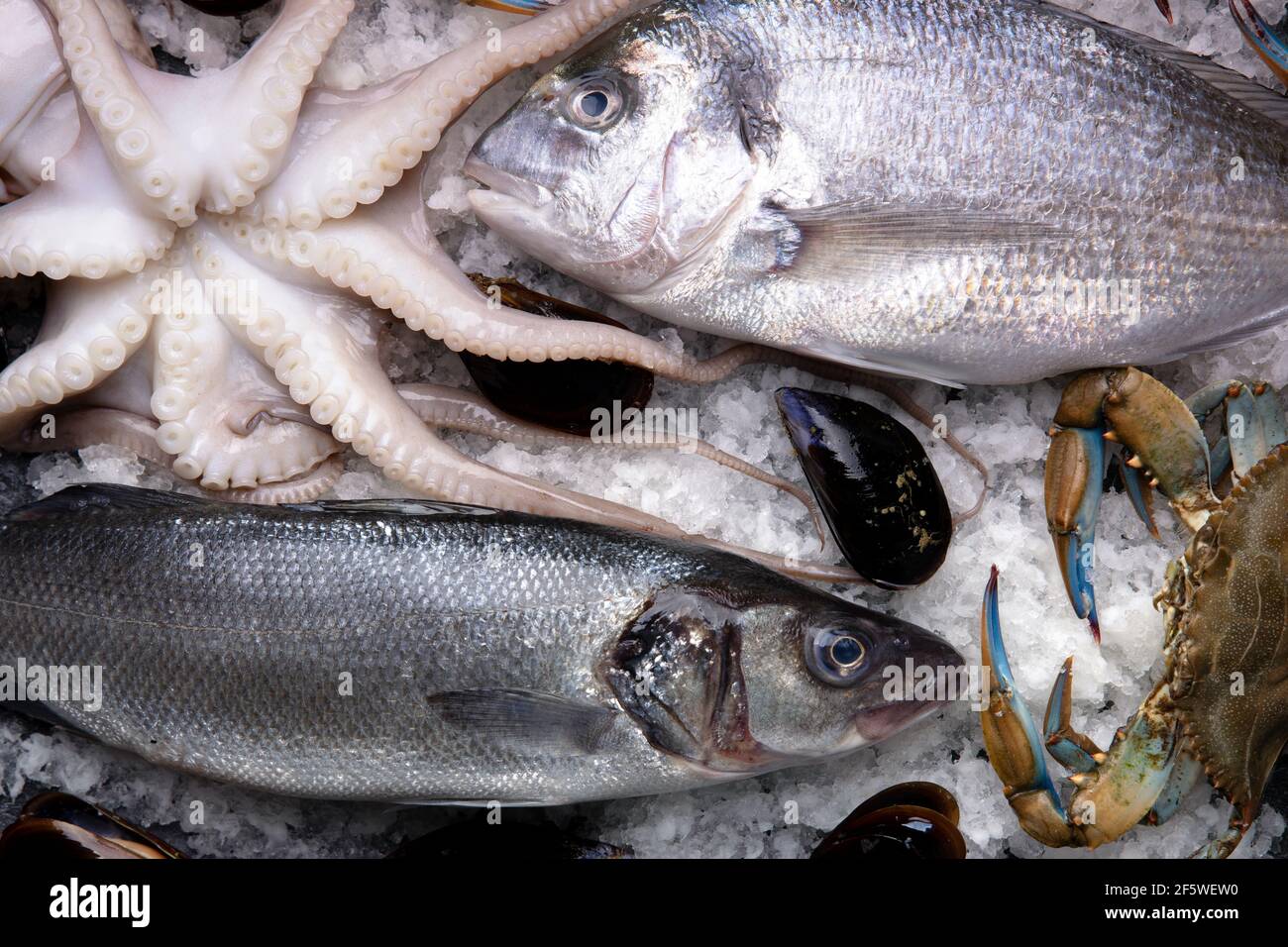 Seafood on ice at the fish market. Dorado, blue crab, cuttlefish ...