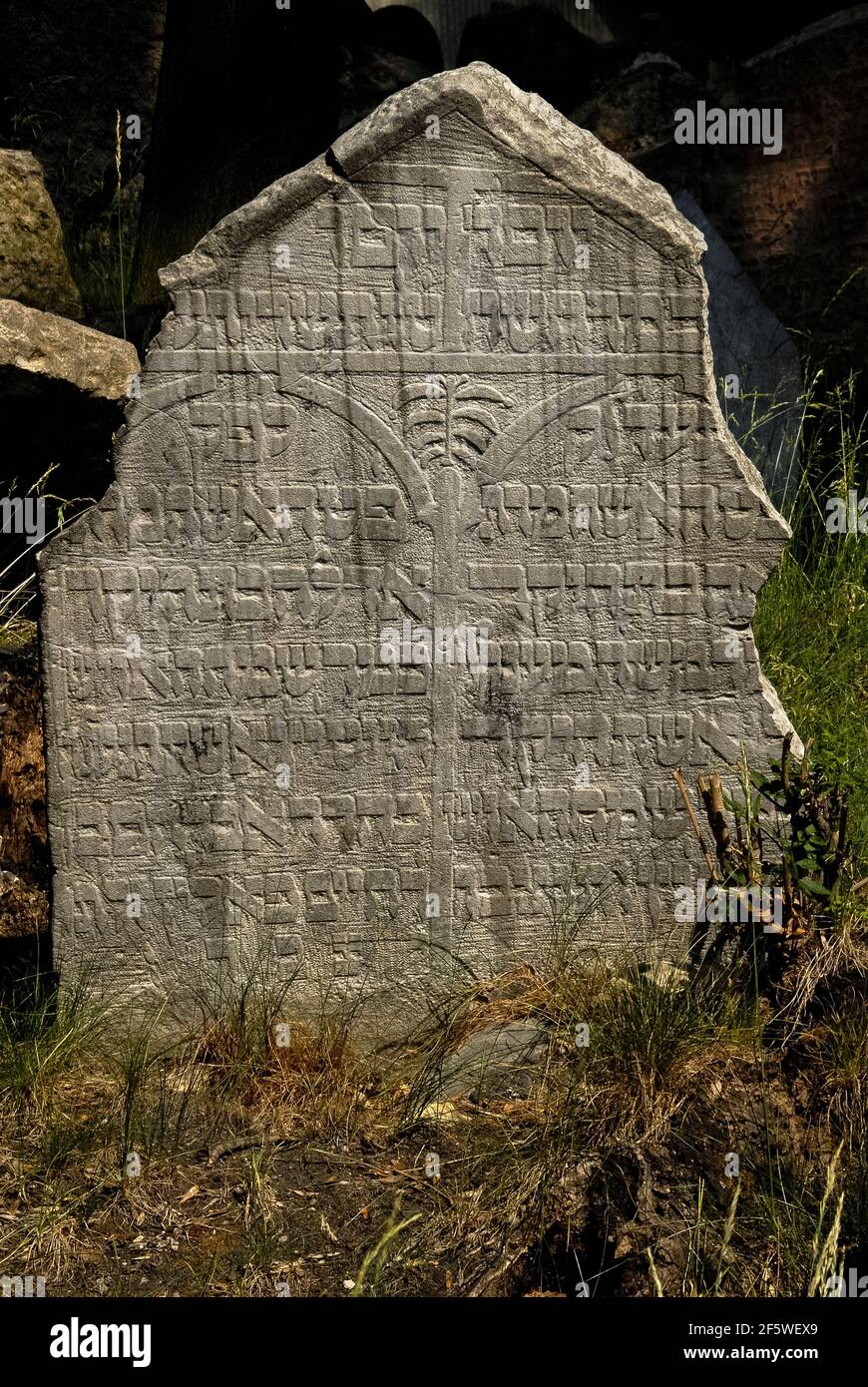 This ancient headstone is among about 12,000 monuments standing close ...