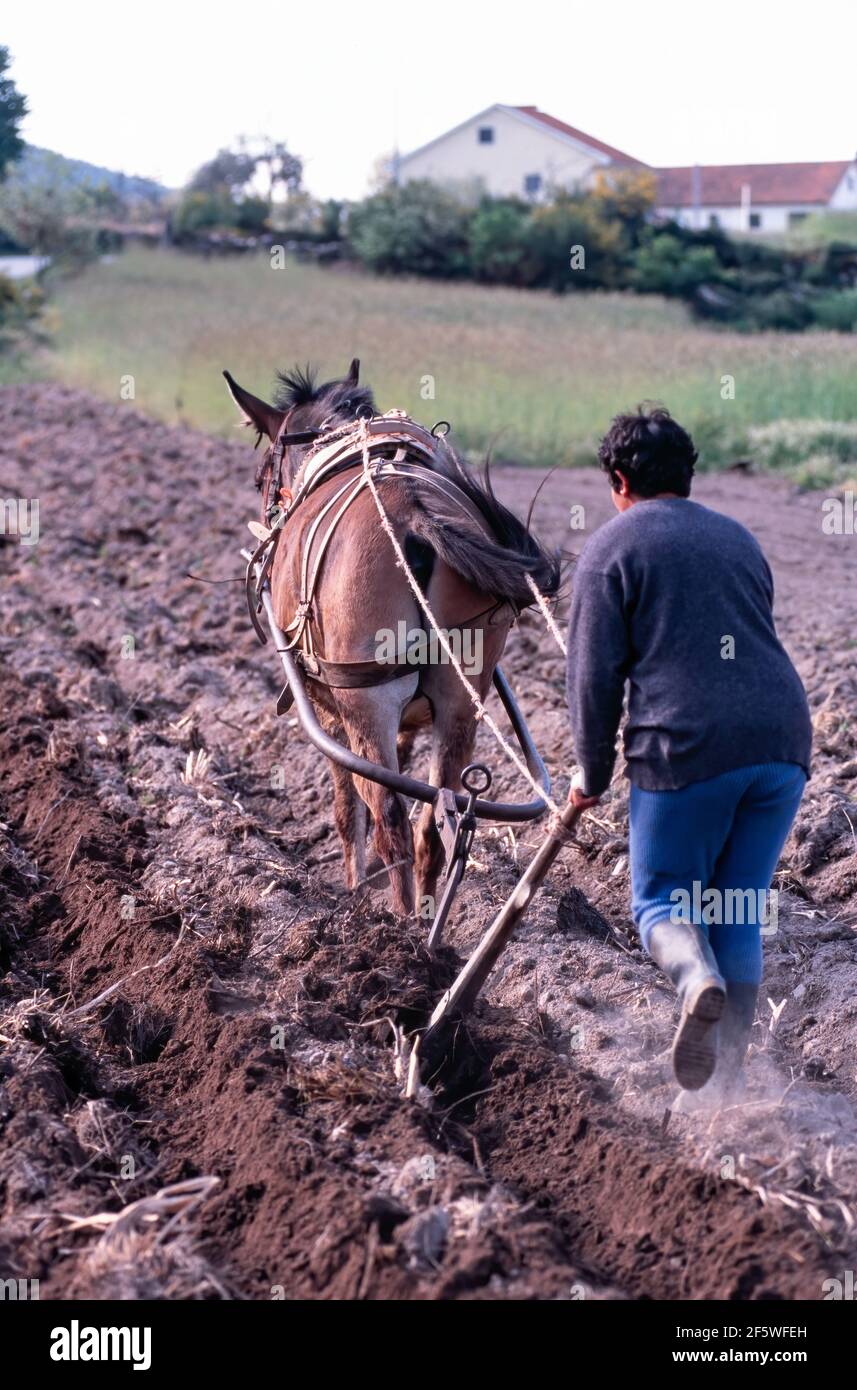 Woman Plowing High Resolution Stock Photography and Images - Alamy