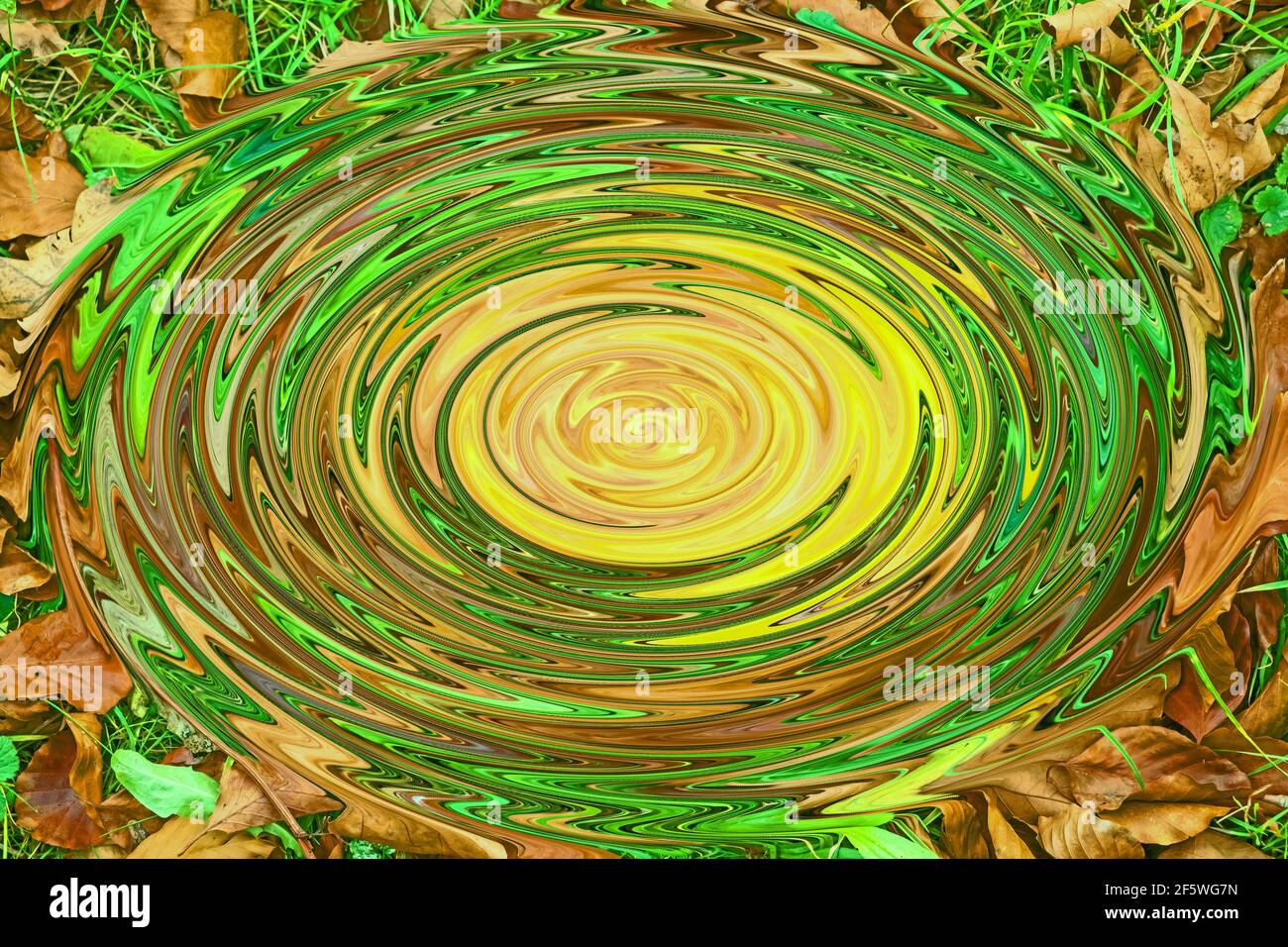 Abstract Autumn leaves in colour Stock Photo - Alamy