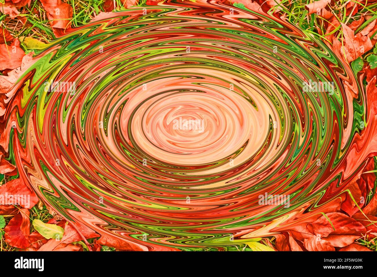 Abstract Autumn leaves in colour Stock Photo - Alamy
