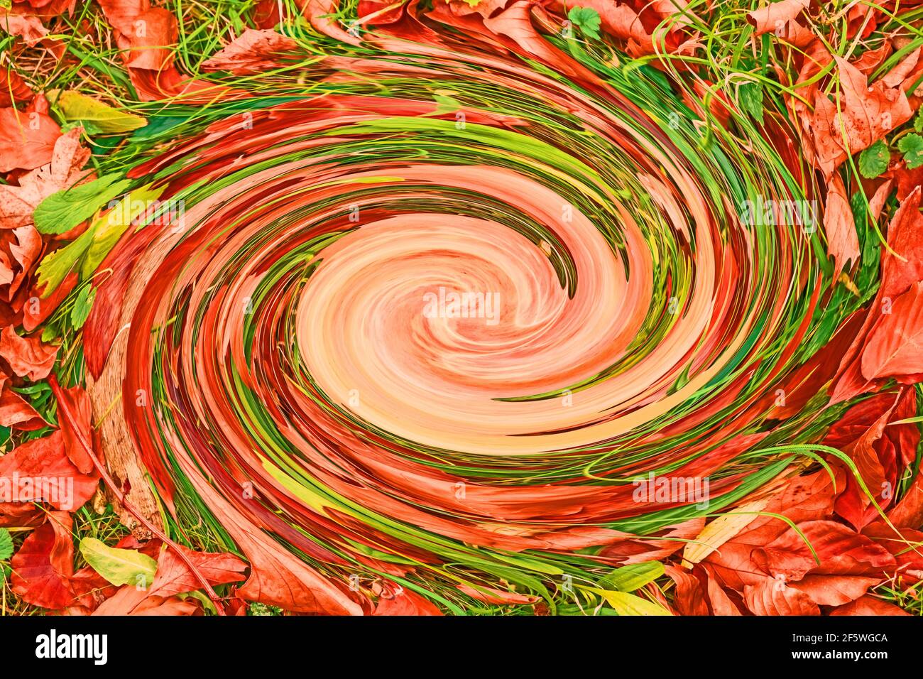 Abstract Autumn leaves in colour Stock Photo - Alamy