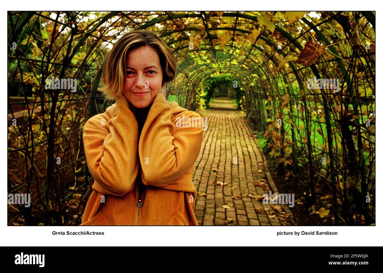 Actress greta scacchi hi-res stock photography and images - Alamy