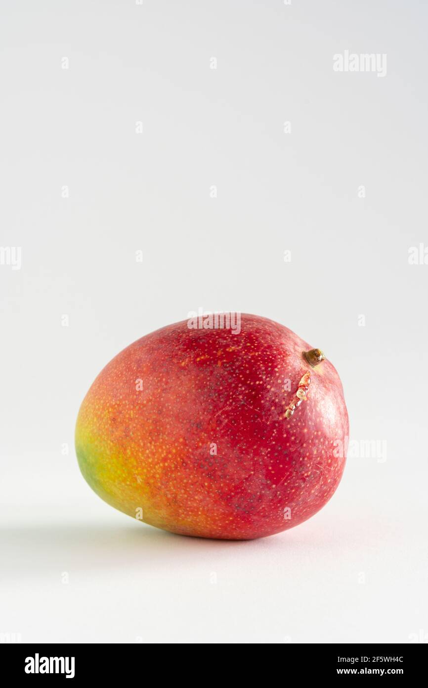 Sap is text hi-res stock photography and images - Alamy