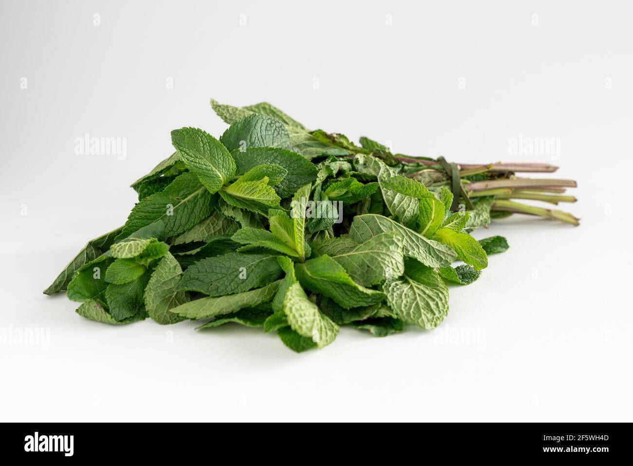 Close-up of a bunch of fresh mint leaves on a white background with ...