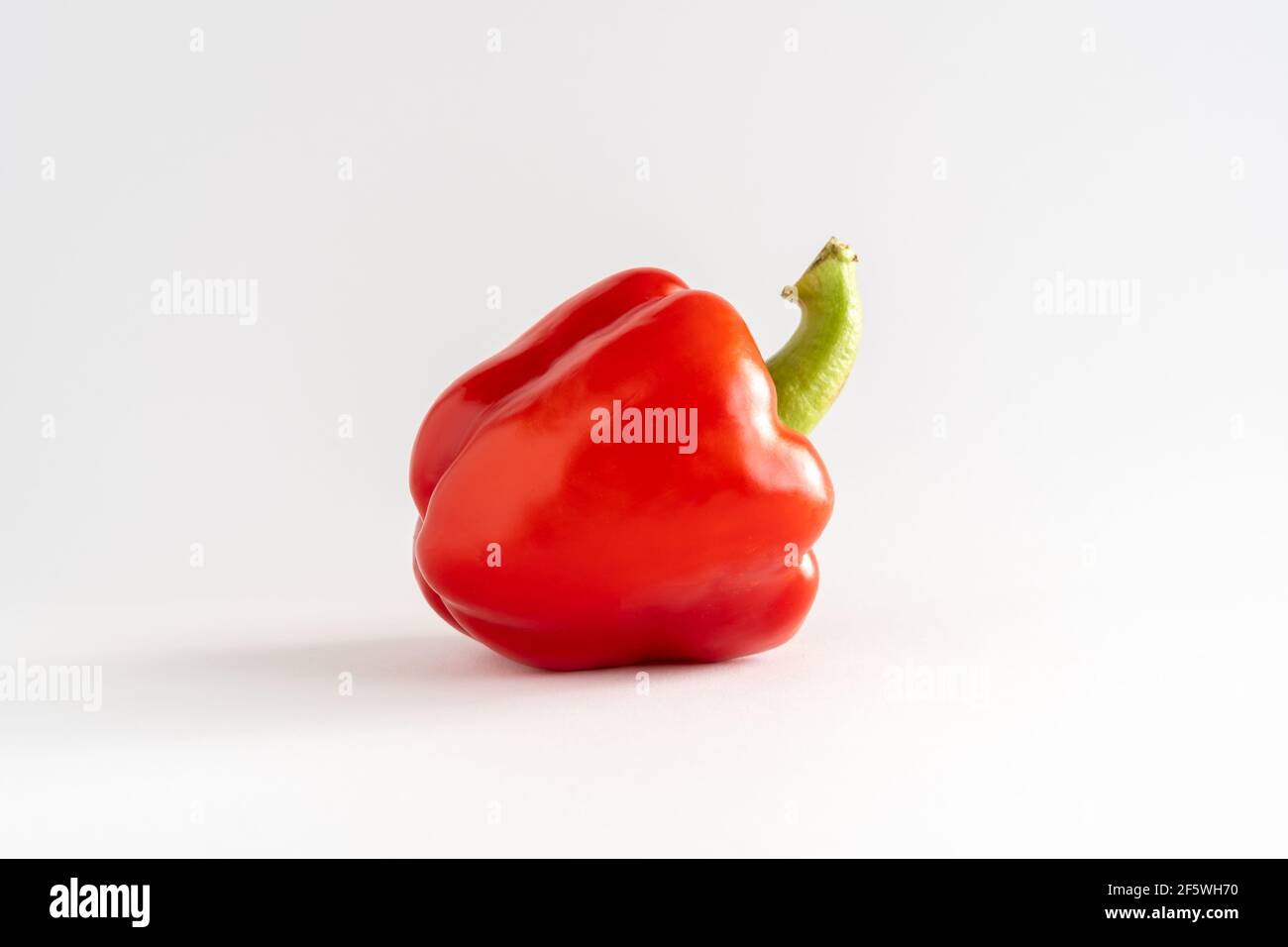 A single whole red bell pepper on a white background with copy space ...