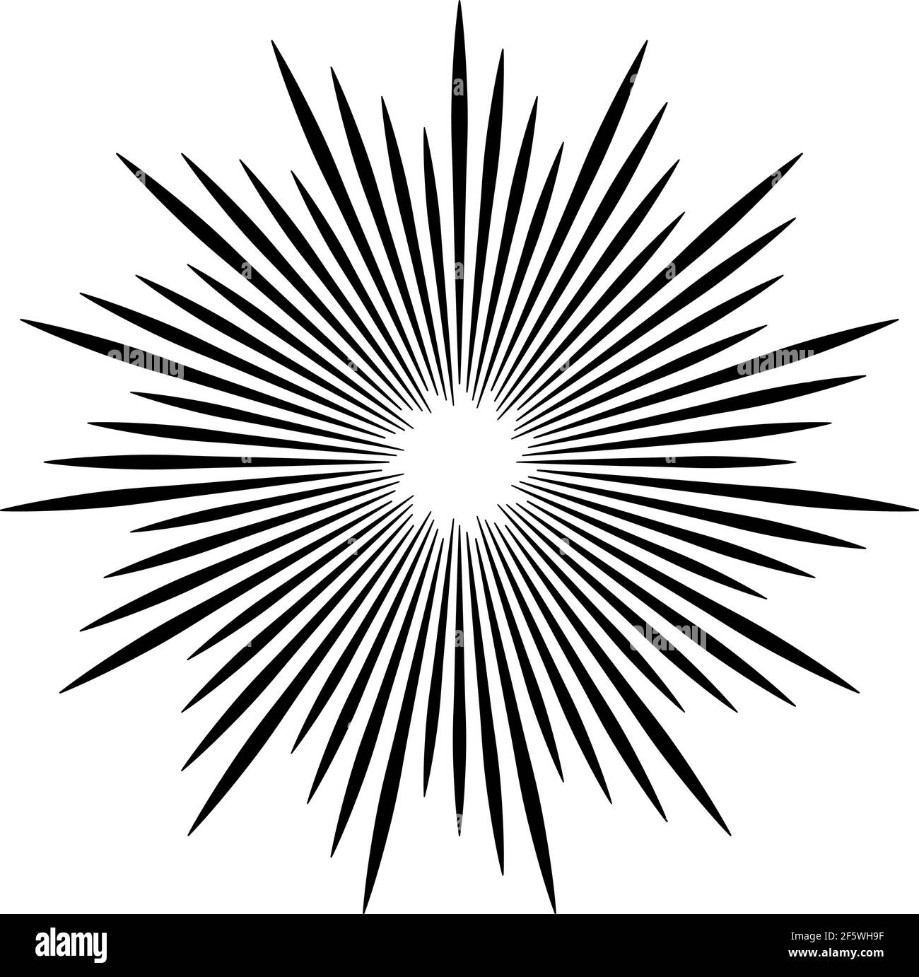 Starburst Vector Graphic Art