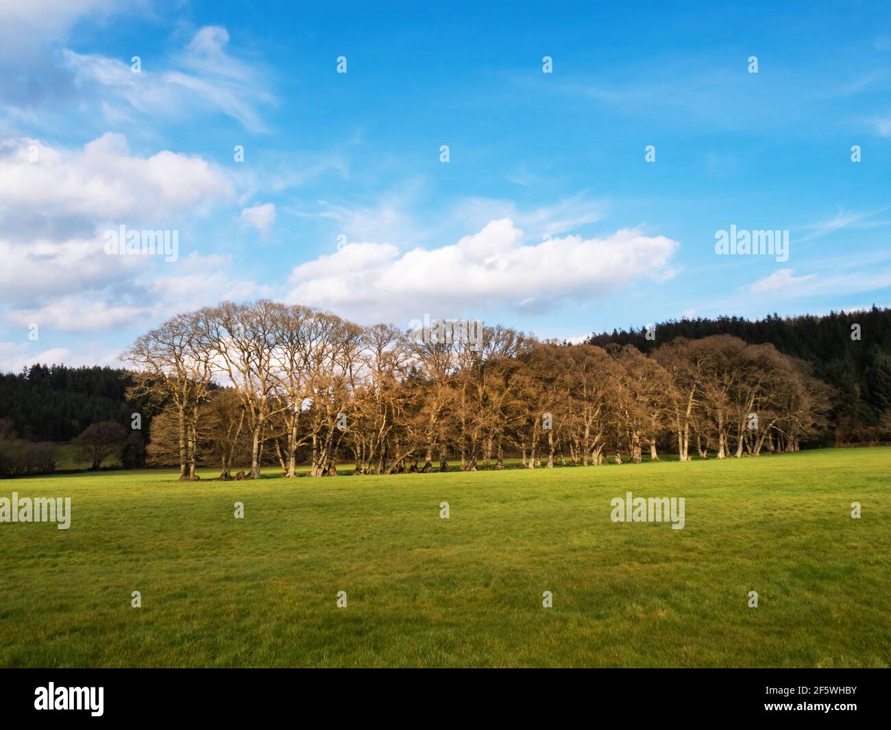 Typical english landscape hi-res stock photography and images - Alamy