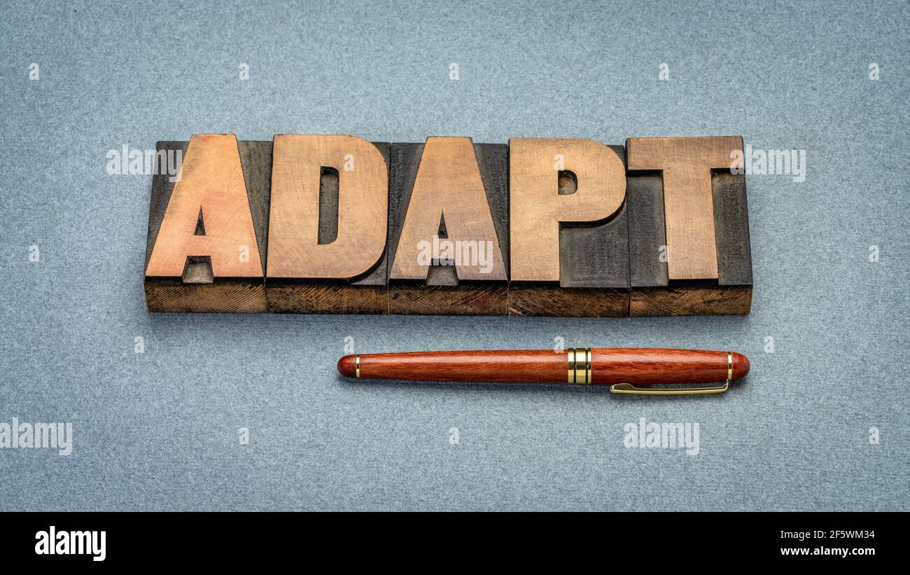 adapt word abstract in vintage letterpress wood type, evolve and ...