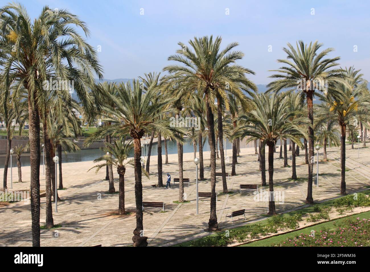 Parc de la mar palma hi-res stock photography and images - Alamy