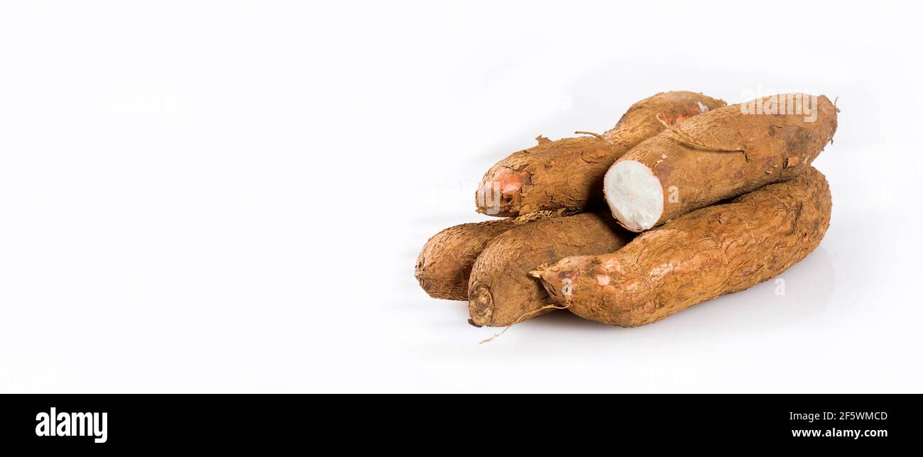 Yucca root with high value starches - Manihot esculenta Stock Photo - Alamy