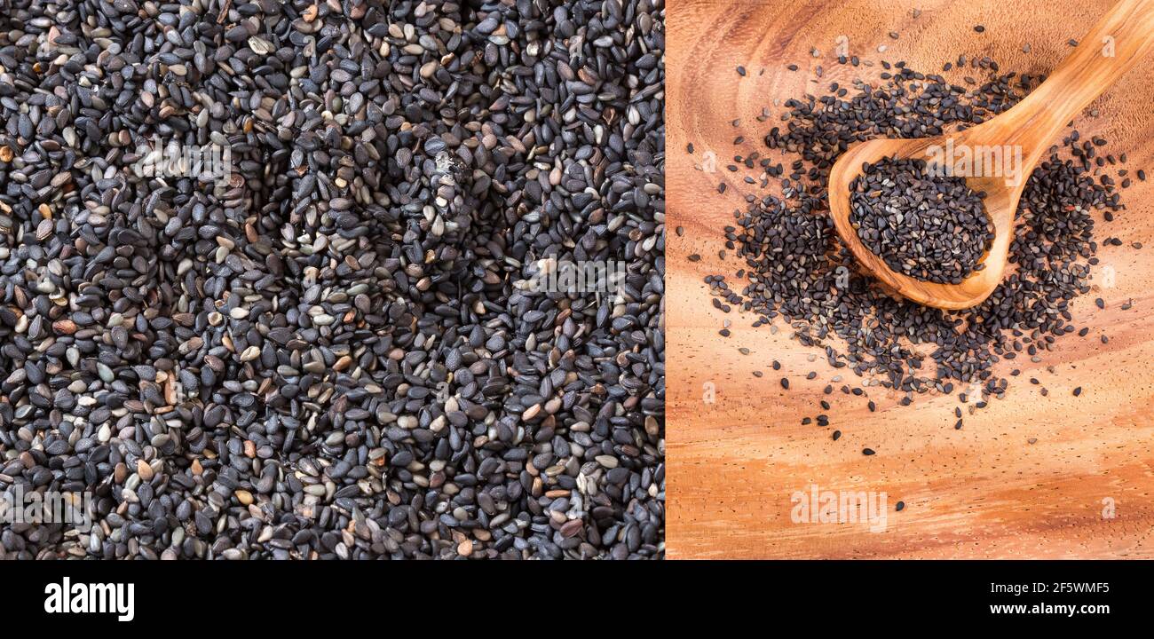 black sesame with higher presence of antioxidants - Sesamum indicum ...