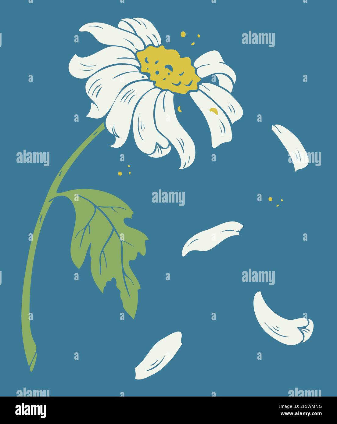 Petals Falling From A Flower Drawing