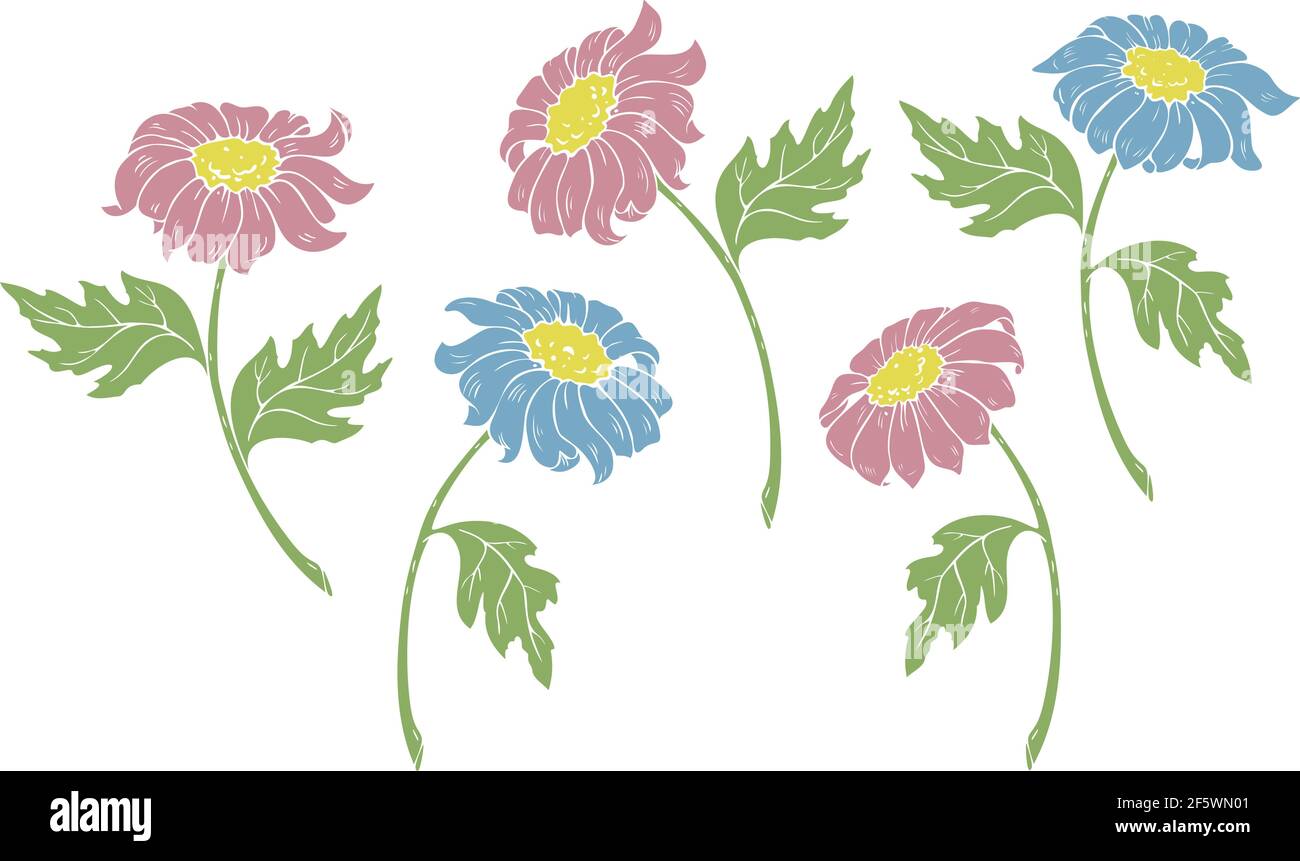 Vector collection with daisy flowers. Variety of vector blooming ...