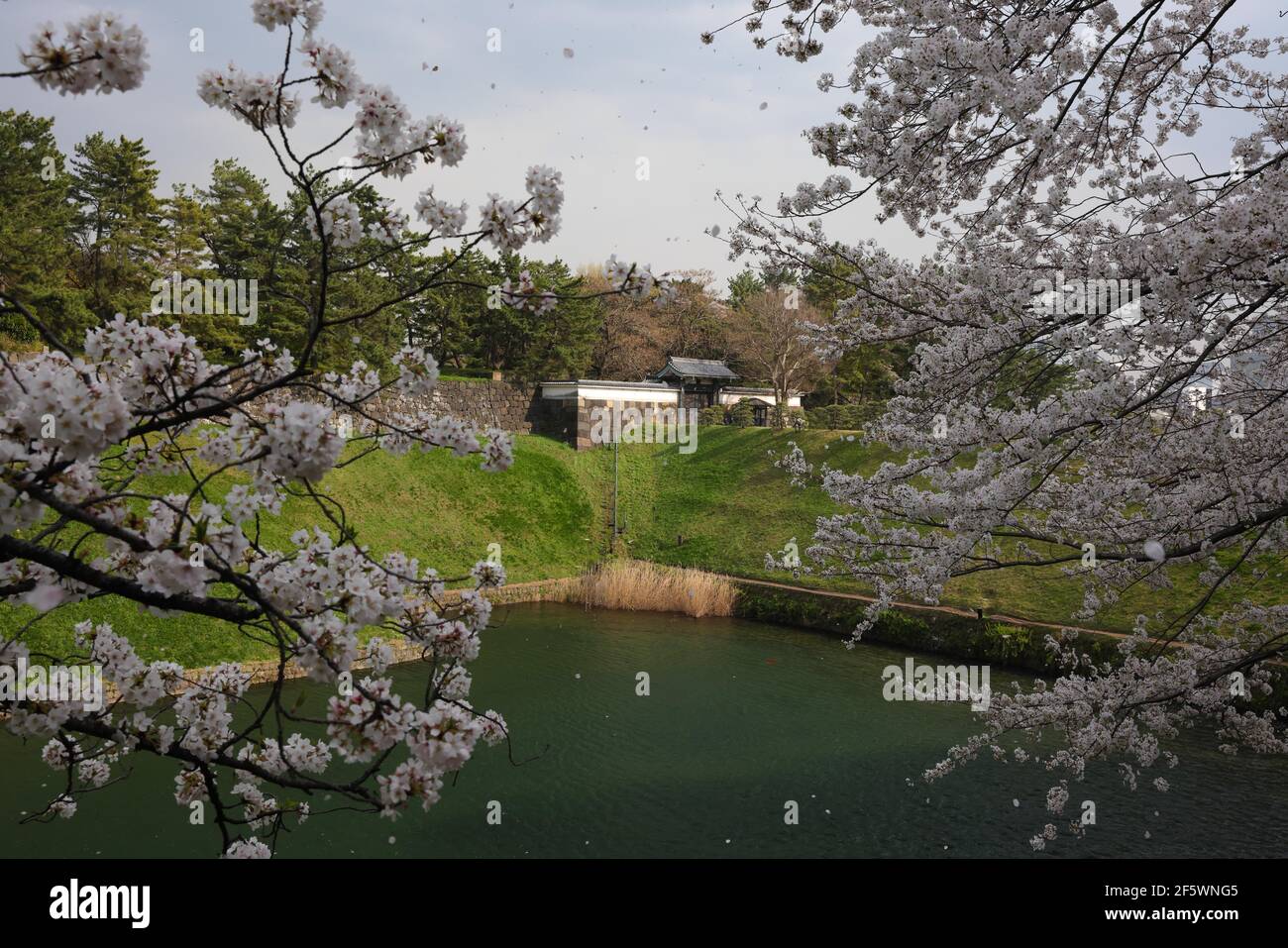 Hanzomon gate hi-res stock photography and images - Alamy