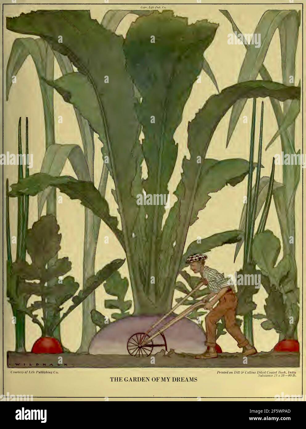 Classical plough hi-res stock photography and images - Alamy