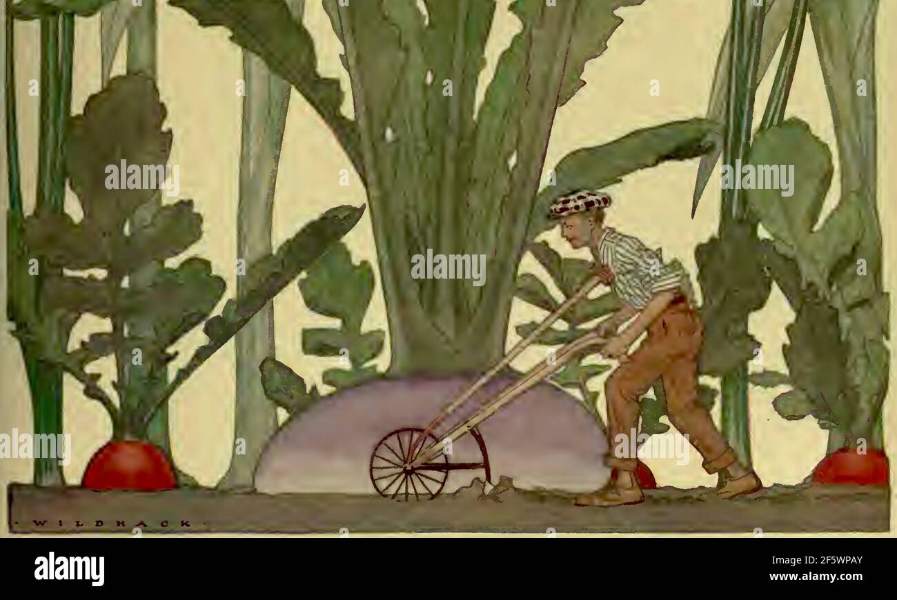 A ploughman with his traditional hand held plough is at work in his ...