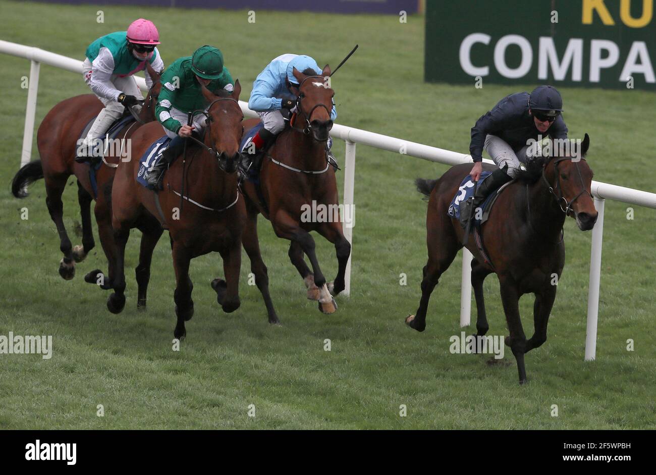 Empress josephine horse hi-res stock photography and images - Alamy